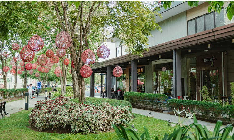 Going Greener: Azuela Cove Leads the Way in Environmental Consciousness ...