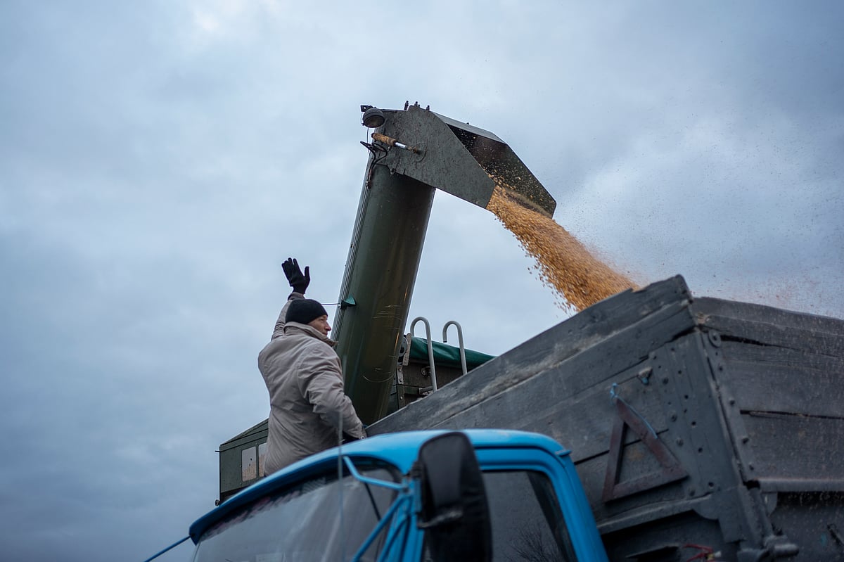 Ukraine's Black Sea Grain Shipping Corridor Boosts Economy and Food ...