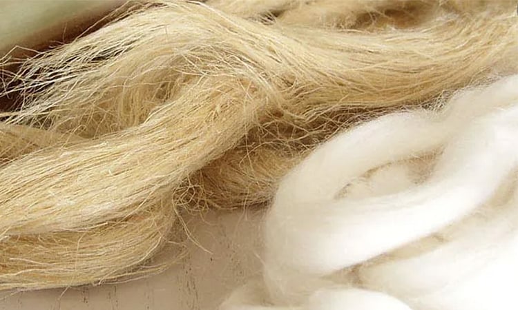 DOST to Establish Textile Fiber Hub in Davao del Norte, Boosting Region ...