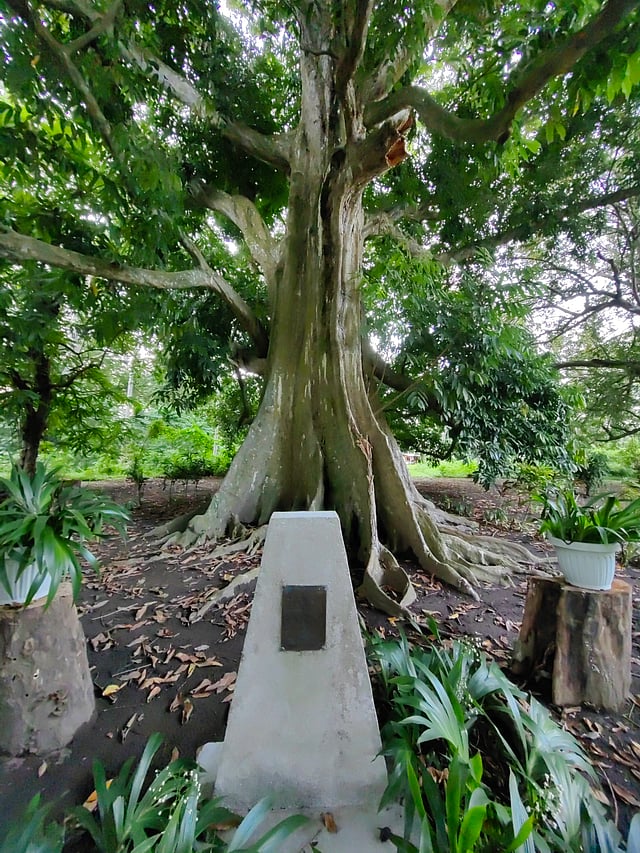 Discover Camiguin’s Cultural Treasures and Natural Beauty | Tales from ...