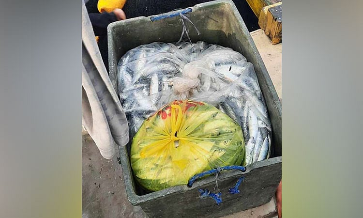 25 ka mga mananagat nasikop sa Dalaguete