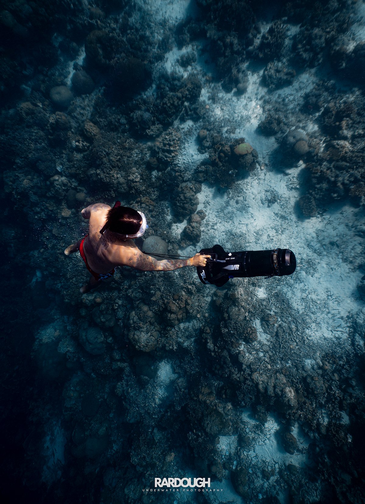 Dive into the art of freediving