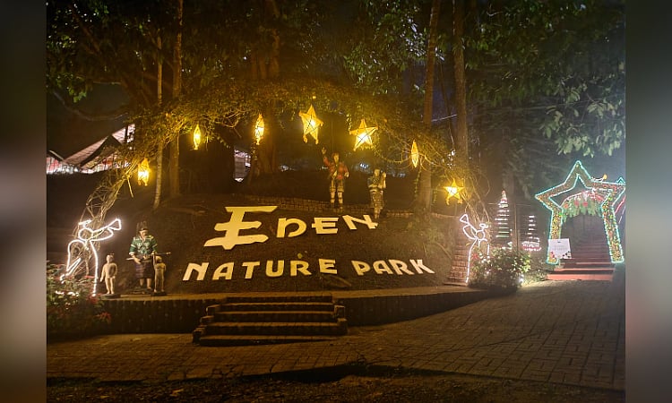 Experience the Magical Bright Christmas at Eden Nature Park & Resort in ...