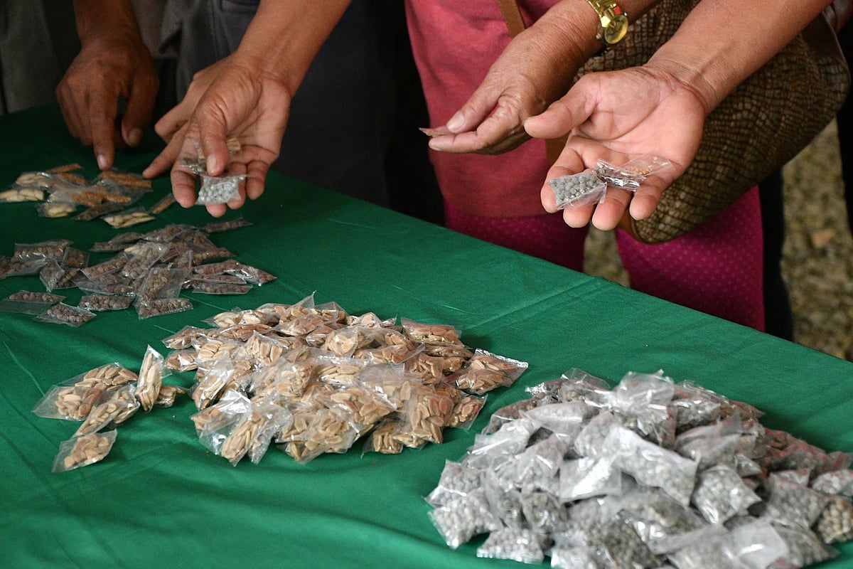 Livelihood Support for Closed Season-Affected Fishers in Sagay City ...