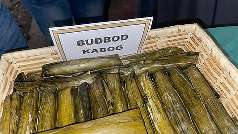 Budbod kabog of Catmon takes spotlight during Suroy Suroy