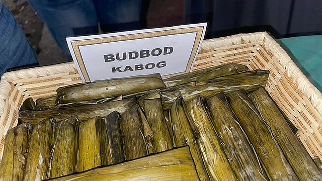 Budbod kabog of Catmon takes spotlight during Suroy Suroy