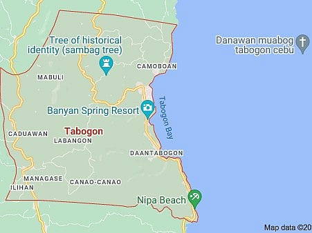 Discogoer dies after being mauled in Tabogon town