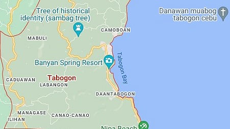 Discogoer dies after being mauled in Tabogon town