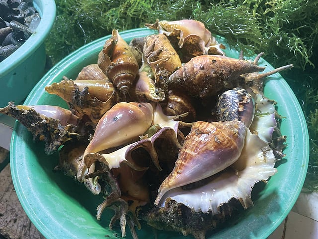 Sinulog 2024 Street Food Guide: Explore Cebu's Culinary Delights