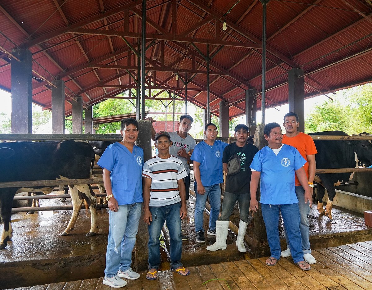 Sipalay City Receives Cattle Multiplier Farm Project from DA-6 for ...