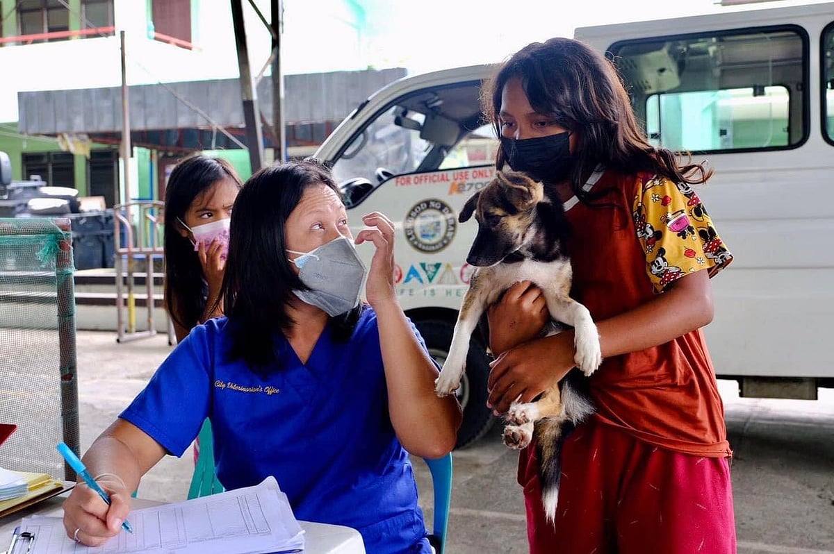 Free Spaying and Neutering for Cats and Dogs in Davao City: CityVet's ...