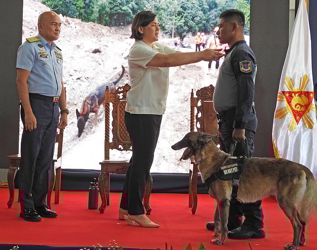 VP Sara awards Appa, other rescue dogs