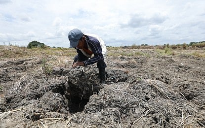 Gov’t ready to provide alternative livelihood for farmers amid El Niño