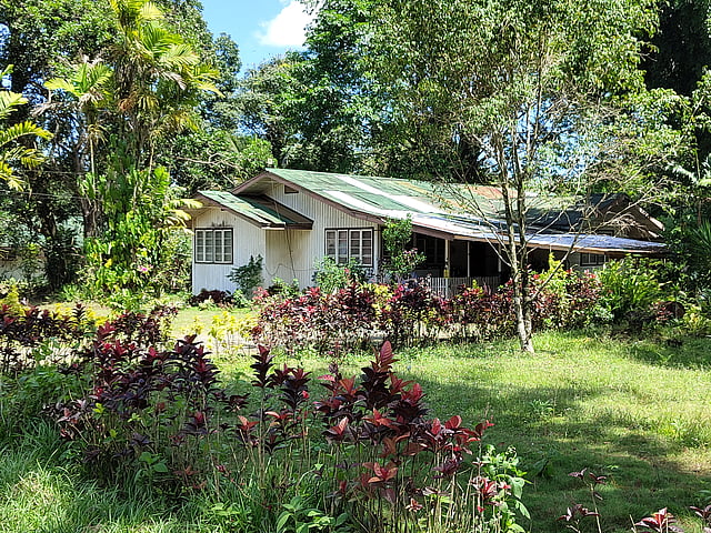 Camp Phillips: Pineapple paradise
