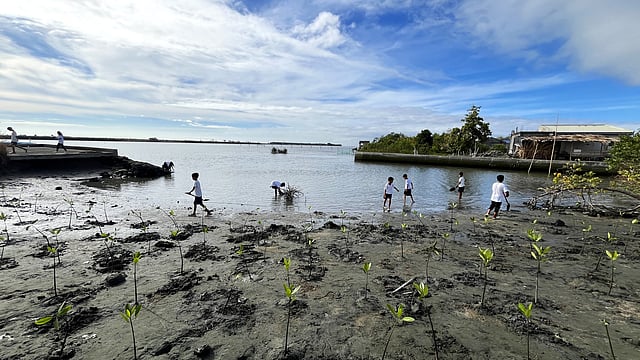 DENR highlights alibangbang tree in tree-hugging event