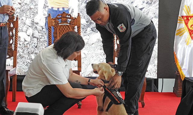 Appa, the unlikely hero