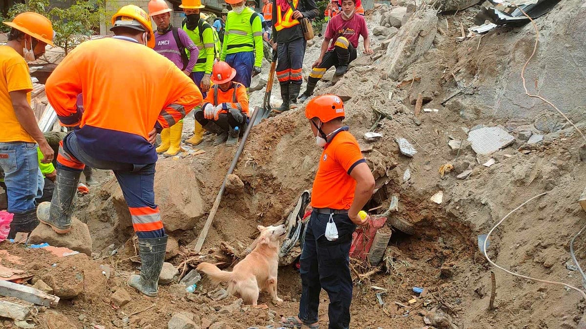 Rescue K9 Appa crucial in PCG’s landslide rescue