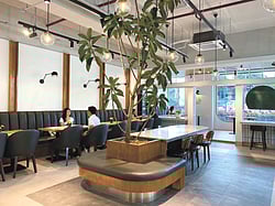 Sparrow Cafe Culture introduces a culinary journey for every palate