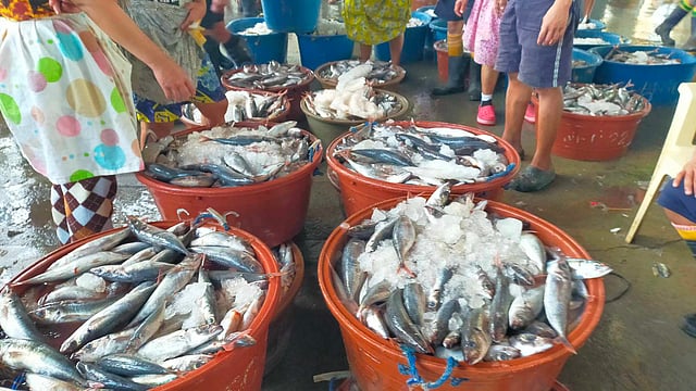 Biyahidor: Suplay sa isda gikan sa Zamboanga hayan mominos