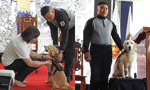 Appa, the unlikely hero