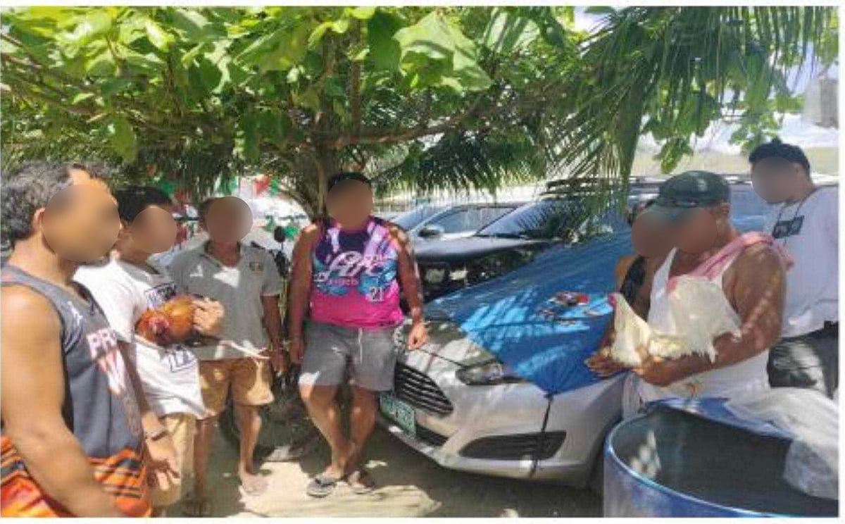 6 cockfighting enthusiasts nabbed in City of Naga raid