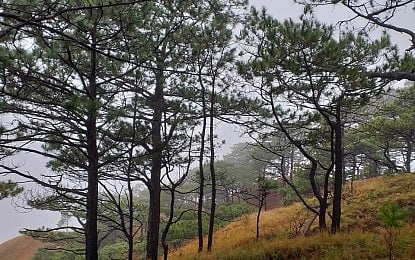 Ilocos Norte LGU bans visitors to Mt. Lammin to prevent grassfires