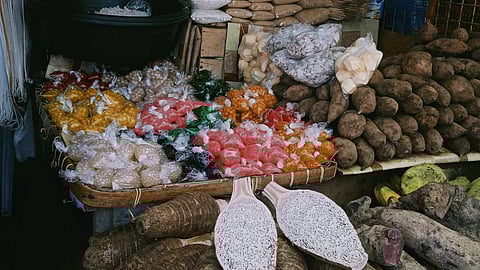 Binignit’s journey: A chronicle of community in Carbon Market