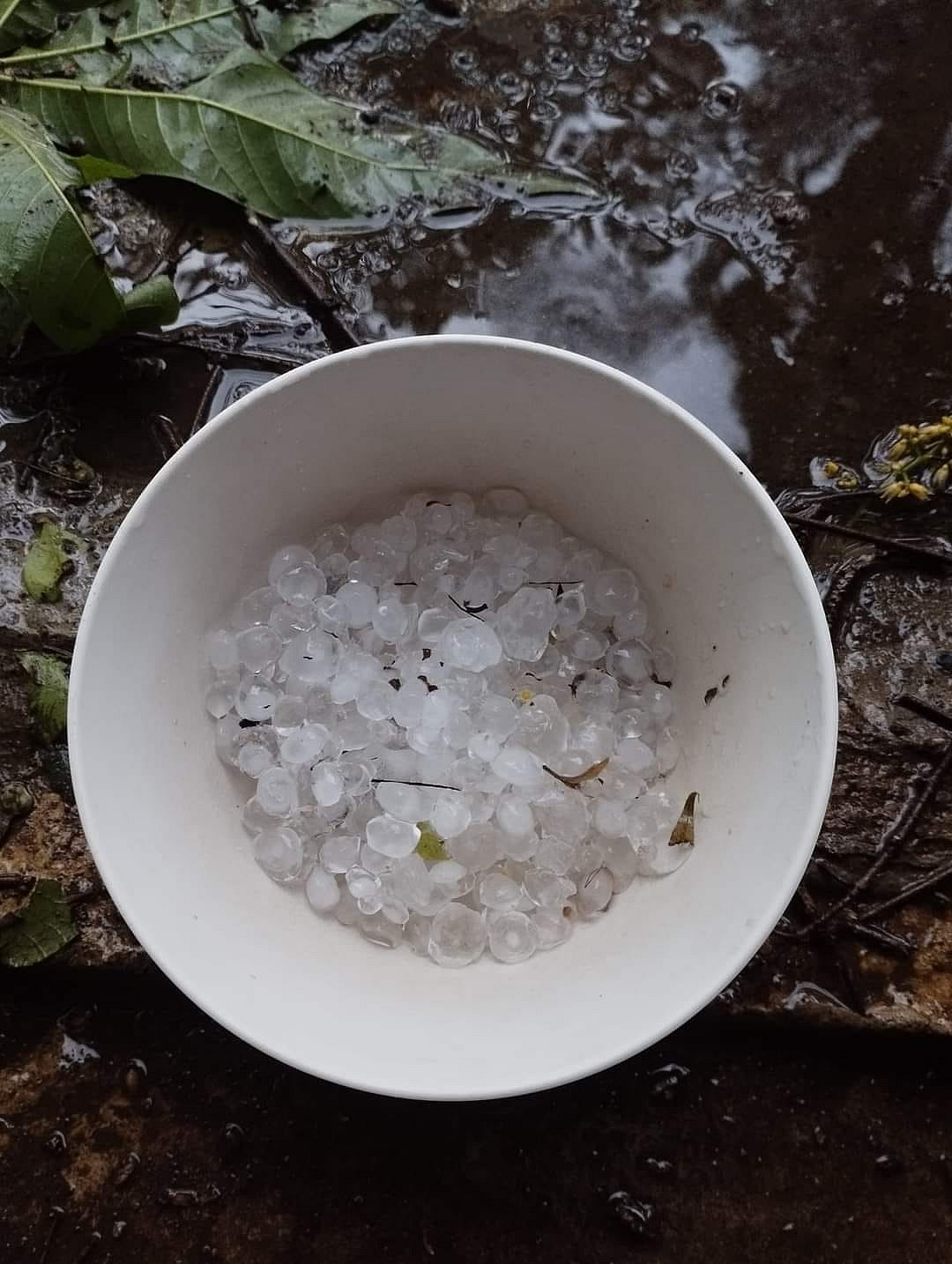 Barangay sa Cotabato giulan og mala-holen nga ice