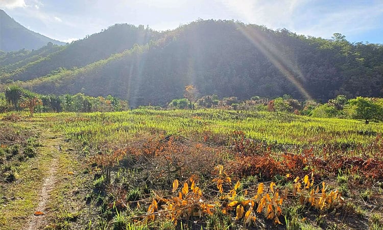 Solar power plant in Davao Oriental