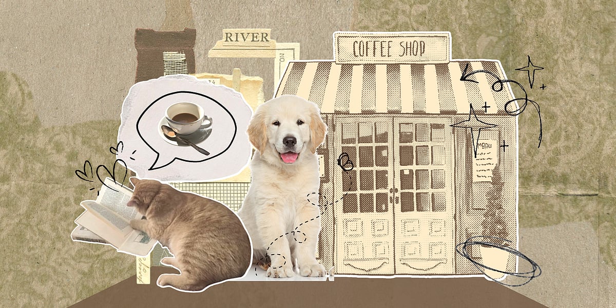 9 pet-friendly cafes in Metro Cebu