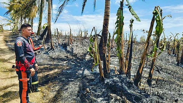Sagingan, kalubihan apektado sa grass fire