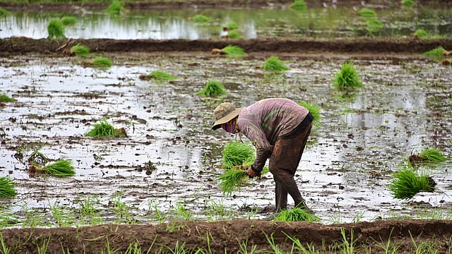 Anti-Agricultural Economic Sabotage Act: What you need to know