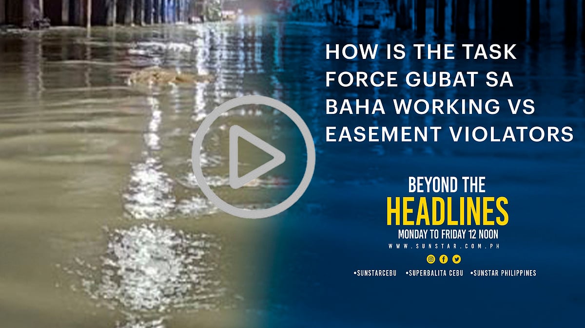 How is the Task Force gubat sa baha working vs easement violators