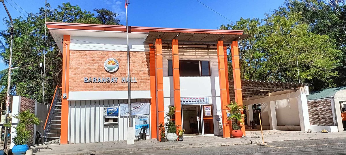 Brgy Singcang-Airport wins 2024 LTIA in WV