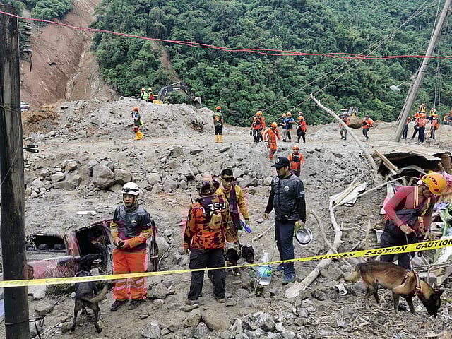 Rescue dogs in Davao