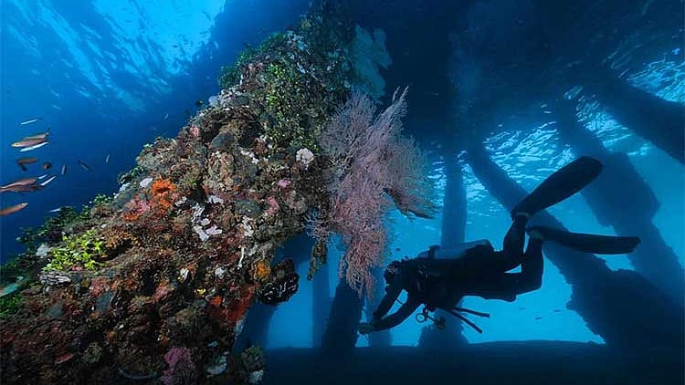 Dive spot in Asturias boosts town’s tourism industry