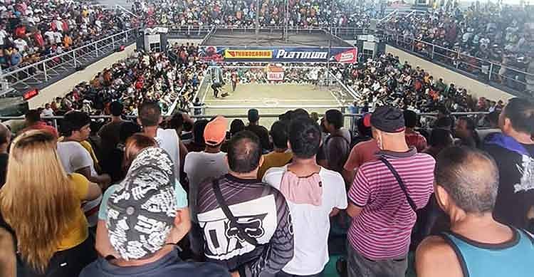 Derby sa manok sa Davao nikita