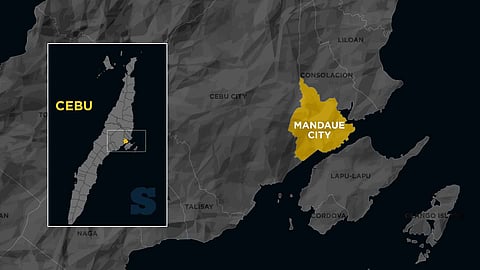Mandaue utilizes ‘purok system’ for disaster resilience