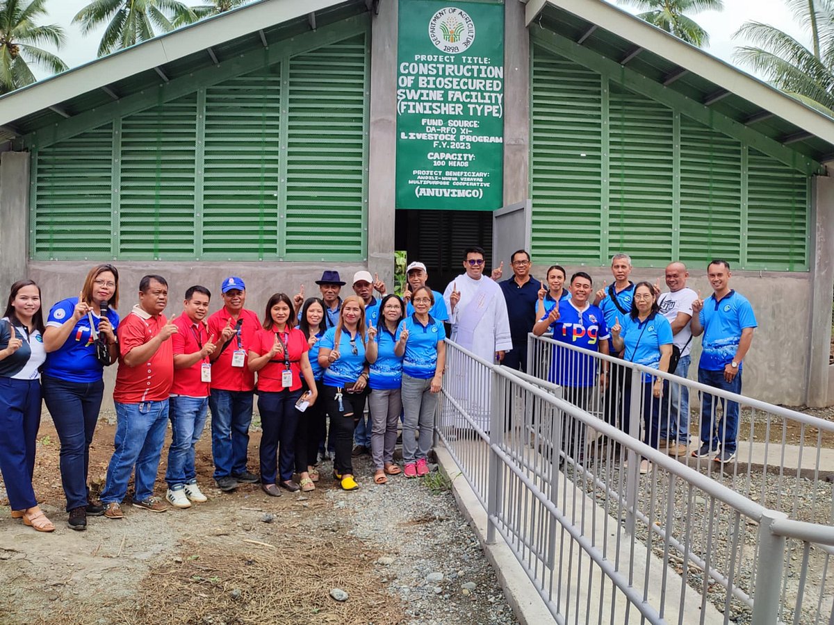 DA gives P362M grant to 21,000 Davao farmers for ASF recovery