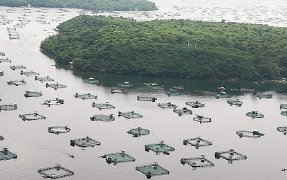 Bridge to boost mobility, economy of Santiago Island