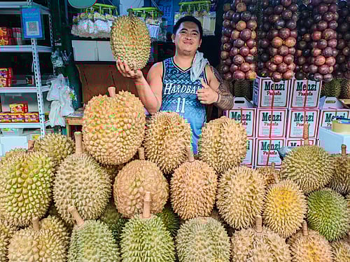 Exploring the Durian capital