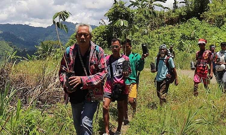 60IB conducts simultaneous tree-growing activity in GIDAs