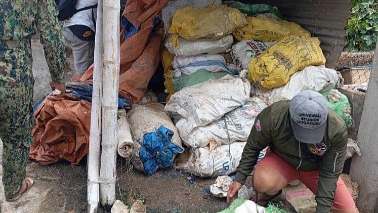 Senior citizen nabbed for possession of giant clamshells ...