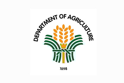 DA orders swift release of P93-M compensation to 'Julian'-hit farmers