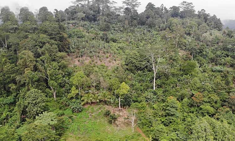 DENR: No trekking in Tagurano