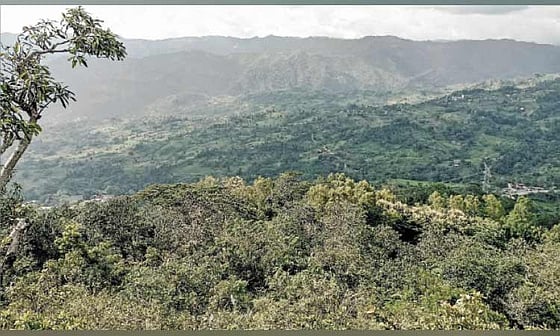 Super Suroy: Tagaytay Busay: Campsite sa mo-chilax