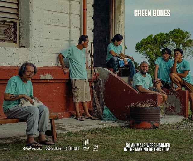 Green Bones: A Powerful Film That Explores Justice