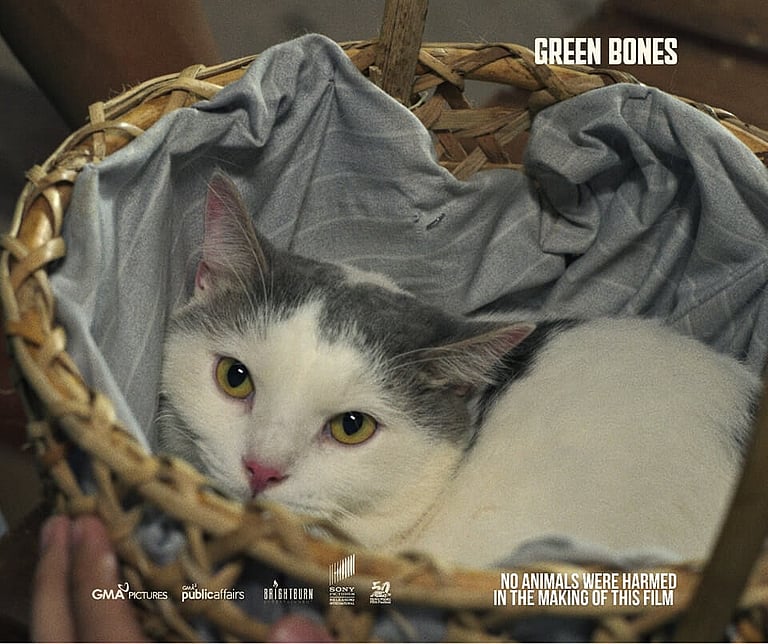Green Bones: A Powerful Film That Explores Justice