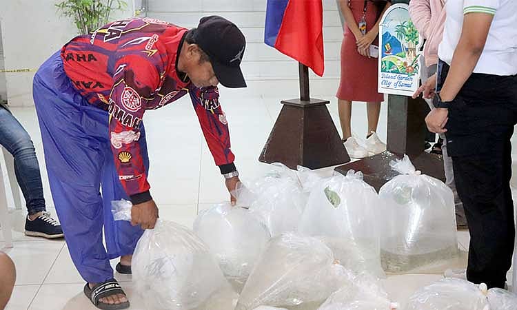 25,000 Fingerlings Distributed to Samal Fish Farmers