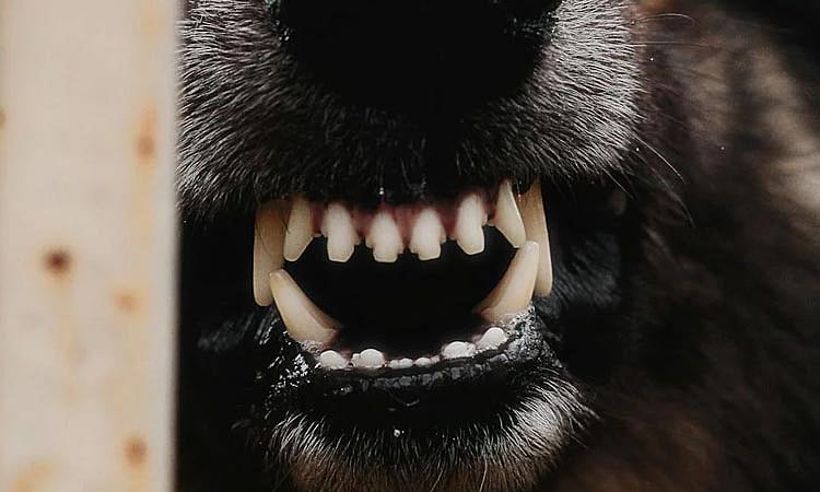 Paghot sa iro yawe sa pagkasakop sa kawata’g igtatari